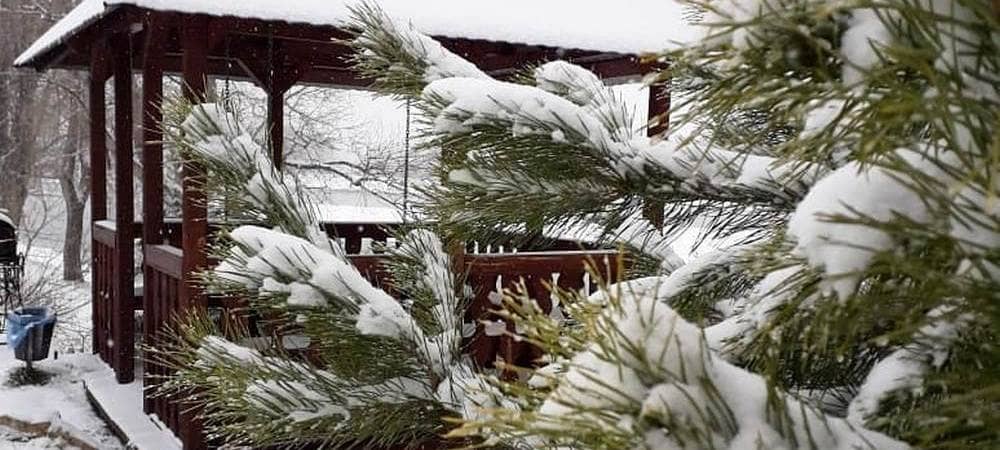 Добро пожаловать в Горный Алтай на Семейный отдых в гостиничном ...